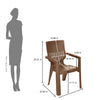 Nilkamal Ortho Comfort Plastic Arm Chair
