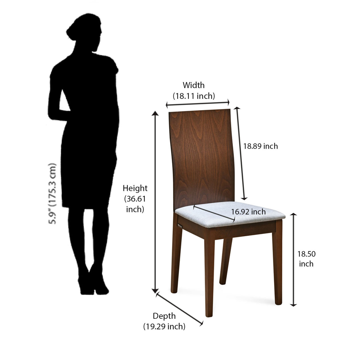 Nilkamal Solace Dining Chair (Beech)