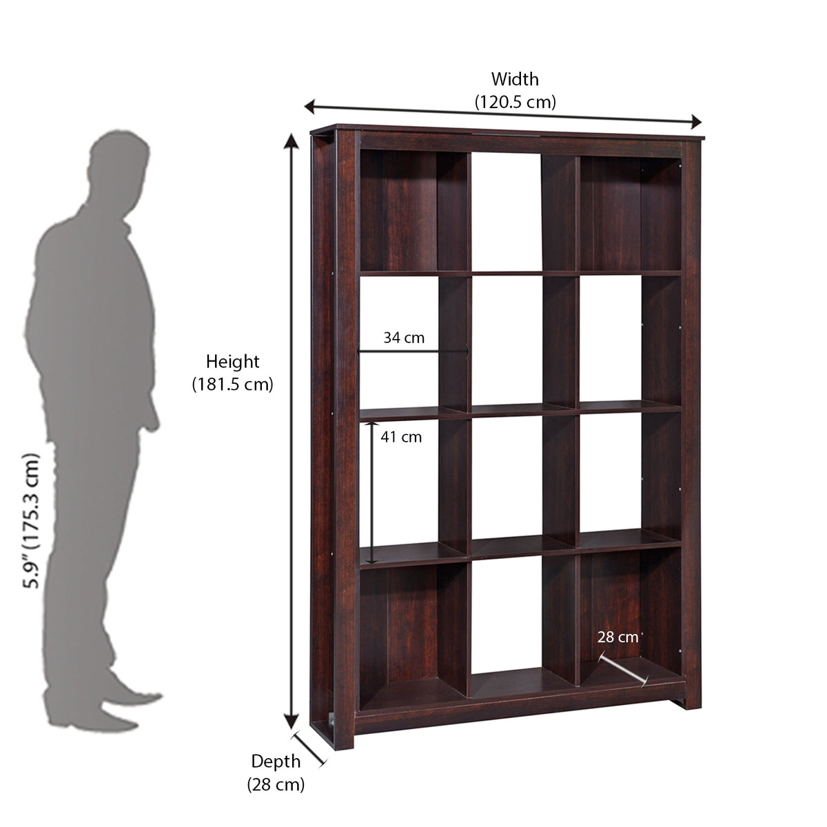 Nilkamal Zeus Book Case